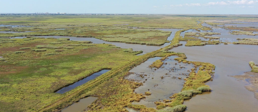 VGCP – Coastal preservation and restoration | Venture Global